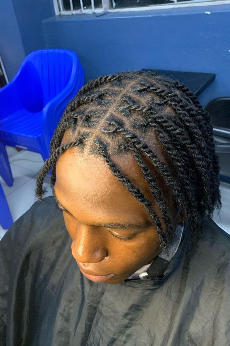 24 Twist Hairstyles For Men: Inspired Looks For Natural Locks | Lookosm